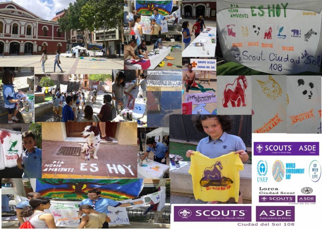 PANEL_MEDIOAMBIENTE · Scouts de España