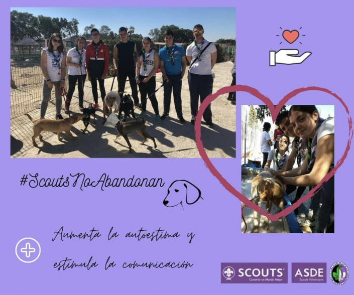 Captura de pantalla 2020-09-25 a las 14.20.02 · Scouts de España